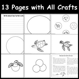 Sea Turtle Life Cycle - Sea Turtle Life Cycle Craft and Cut & Paste ...