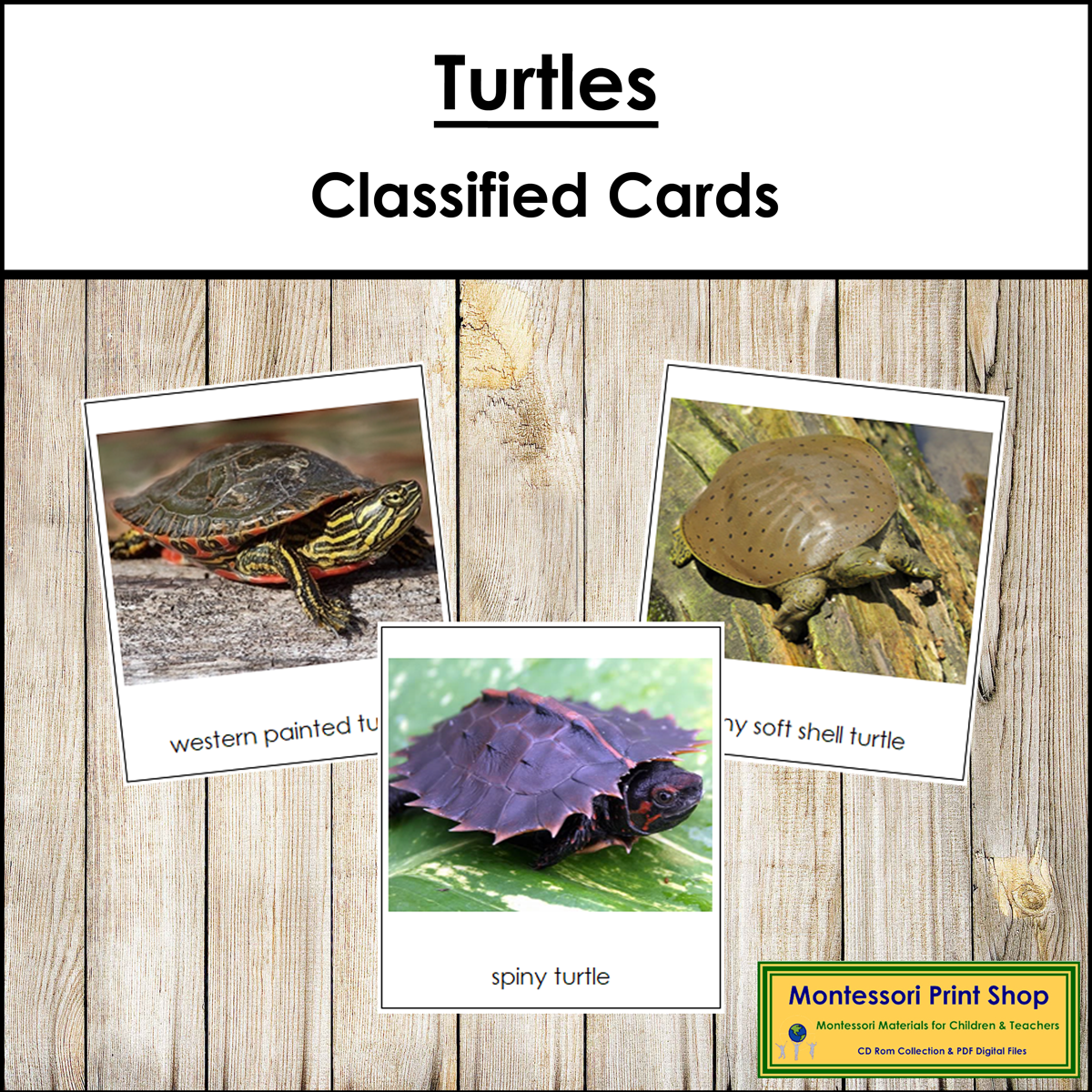 Parts of a Bulb 3-Part Cards - Montessori Nomenclature | Made By Teachers