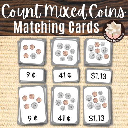 Counting Mixed Coins Cards - Montessori Money Math Coin Matching Flash ...