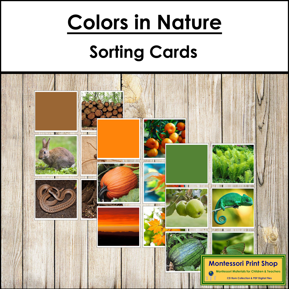 Animals and Their Groups Matching Cards (color-coded) | Made By Teachers