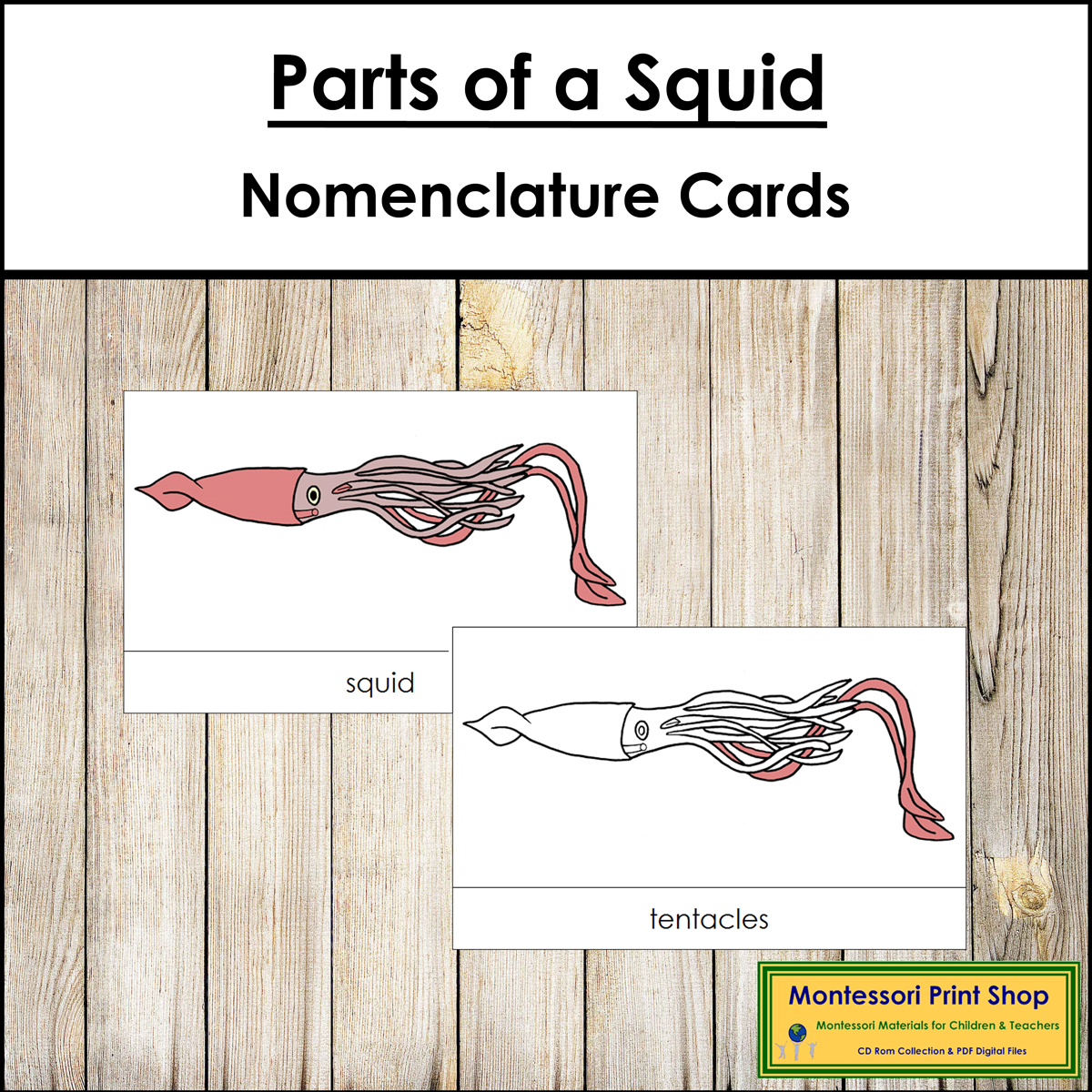 Types of Pets (Set 2) - Montessori 3-Part Cards - Vocabulary, ESL ...
