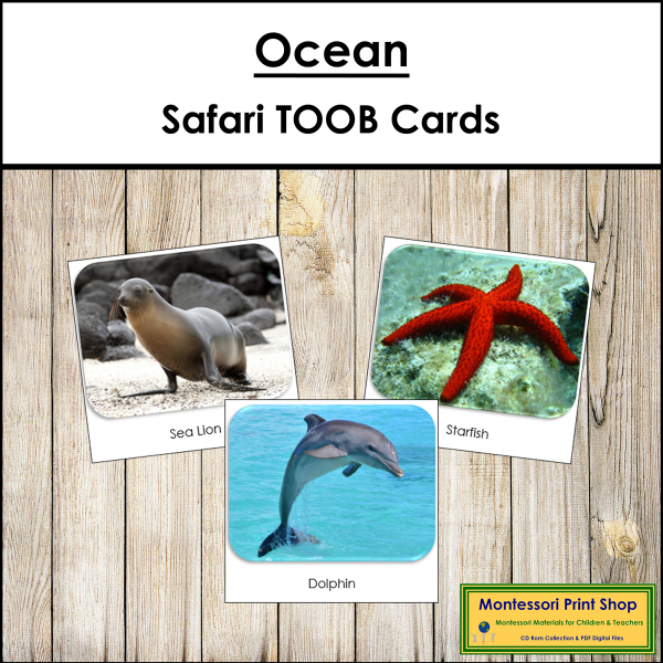 Ocean Safari TOOB Cards - Montessori | Made By Teachers