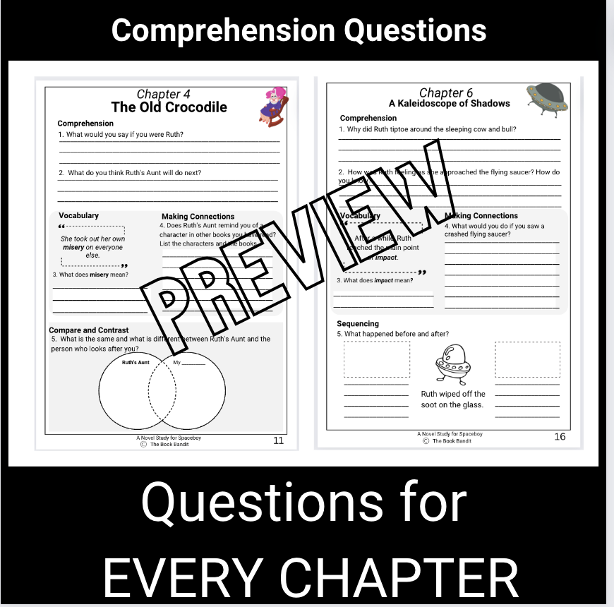 SPACEBOY Novel Study and Reading Comprehension | Made By Teachers