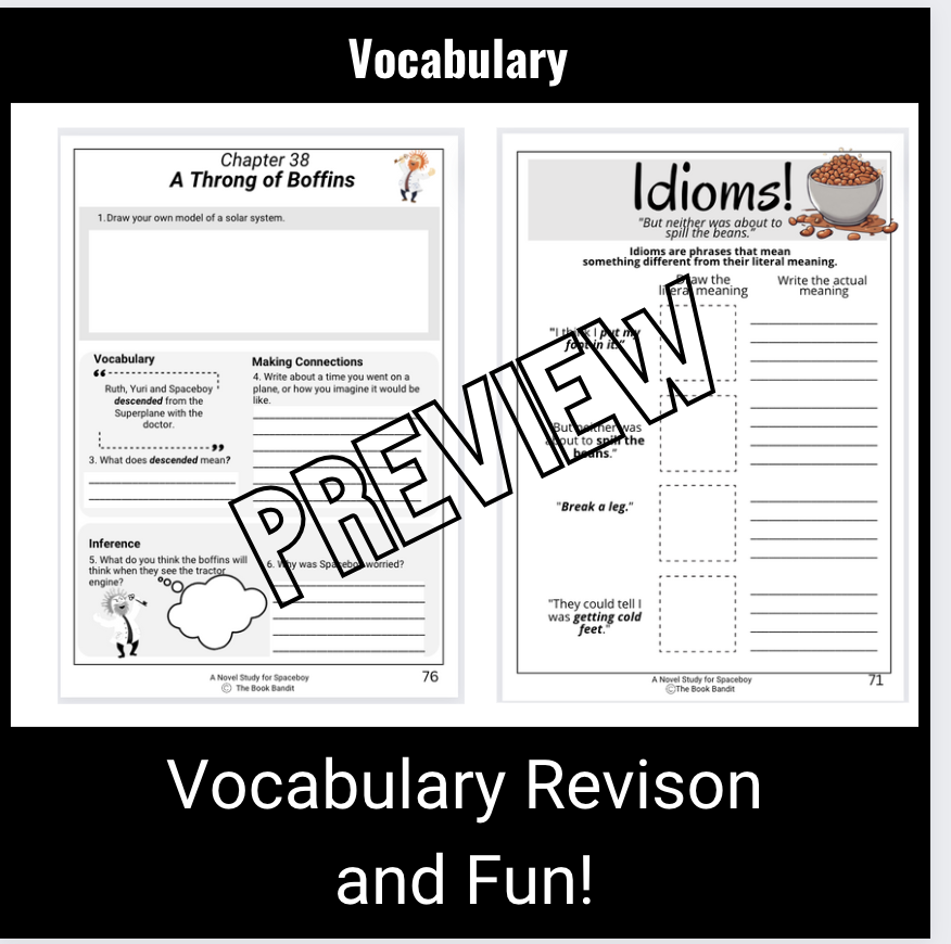 SPACEBOY Novel Study and Reading Comprehension | Made By Teachers