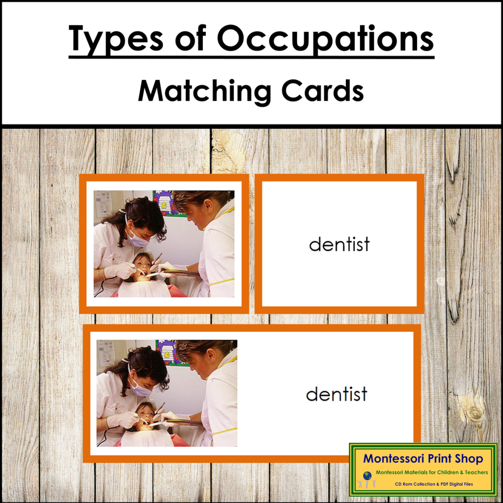 Types of Occupations - Words & Picture Cards (Vocabulary, ESL) | Made ...