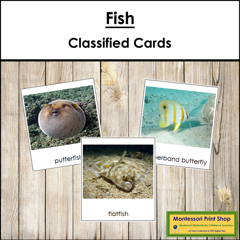 Types of Fish - Montessori 3-Part Cards - Vocabulary, ESL - Made By ...