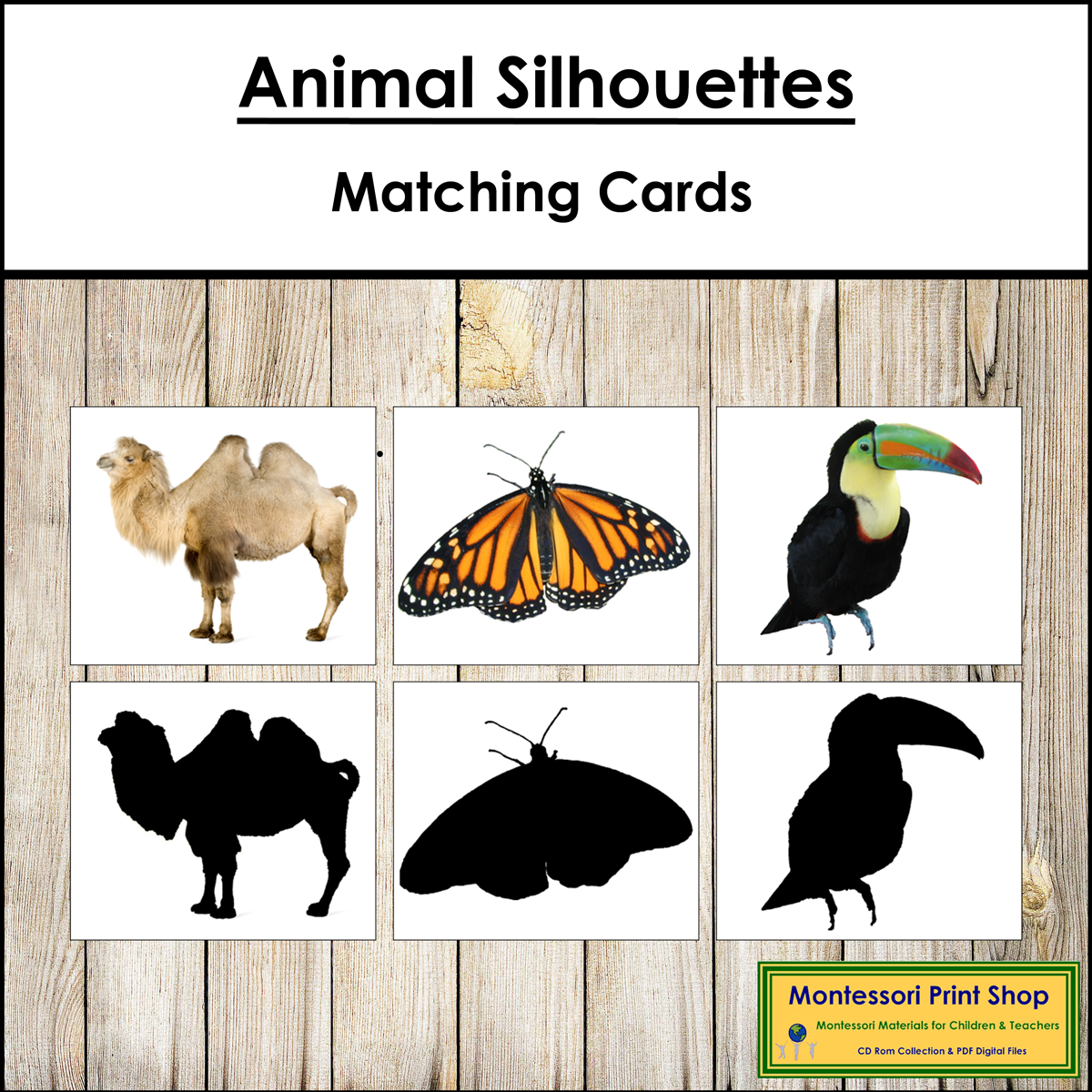 Types of Big Cats - Montessori 3-Part Cards - Vocabulary, ESL | Made By ...