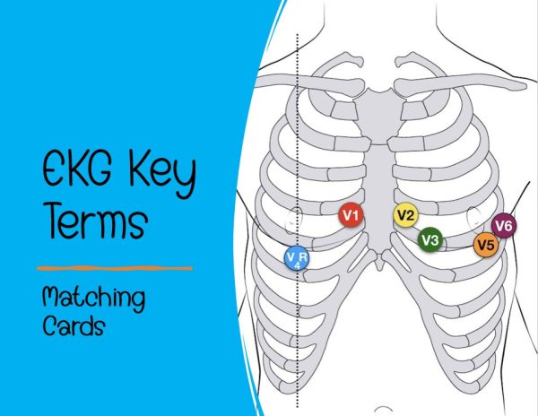 Health Care Careers Matching Cards (Health Sciences, Careers) | Made By ...