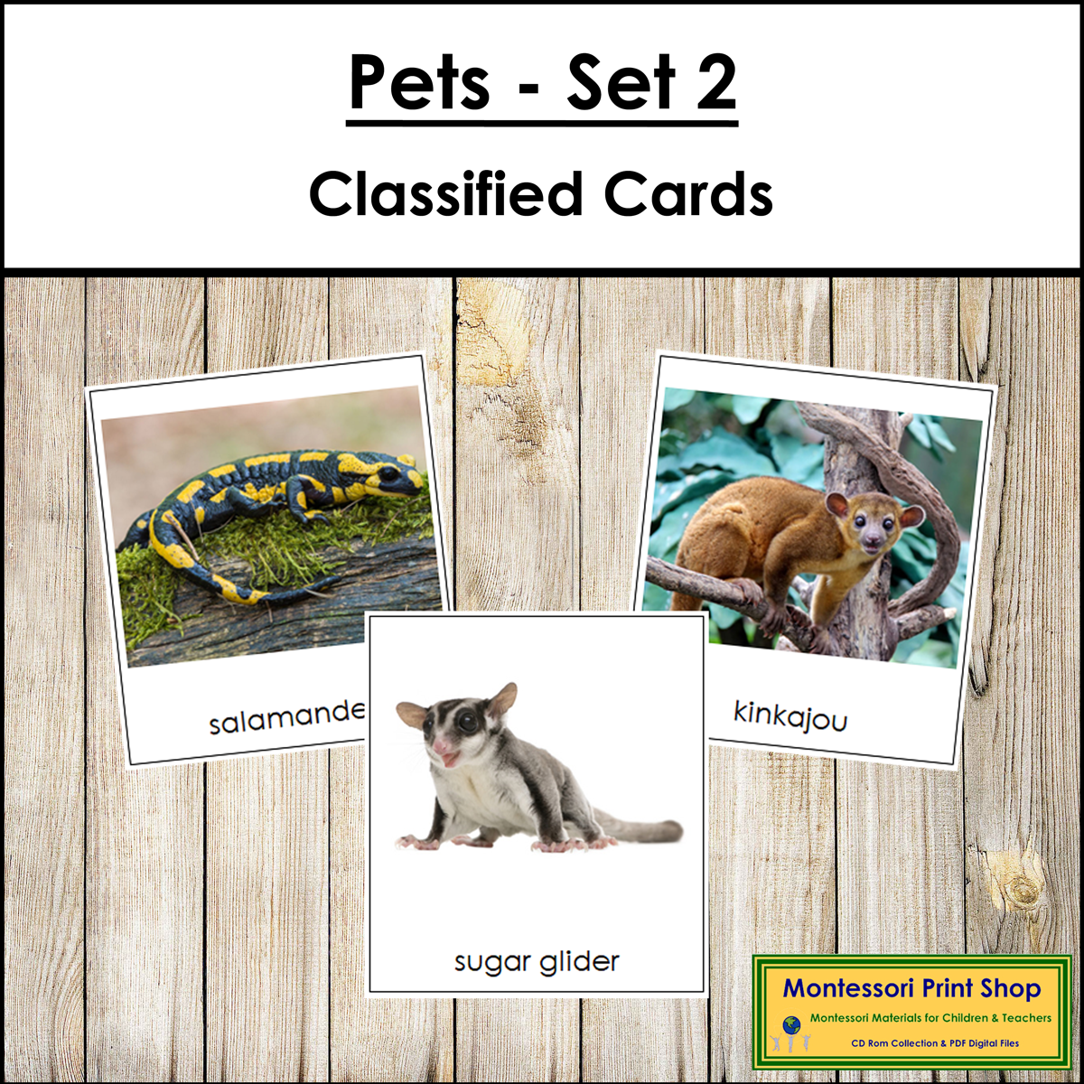 Small Number Cards - Montessori Math Collective Lessons | Made By Teachers
