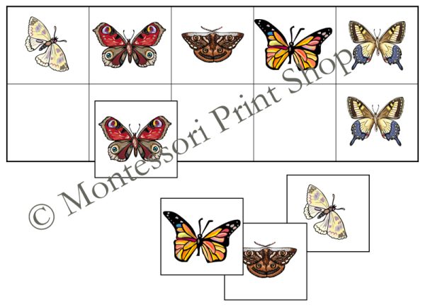 Butterflies Match-Up and Memory Game (Visual Discrimination & Recall ...