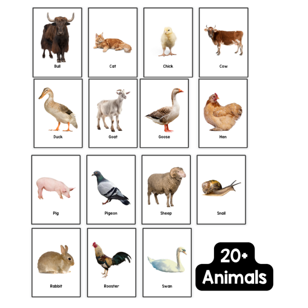 FARM ANIMALS • Montessori Cards • Flash Cards Nomenclature Cards PDF ...