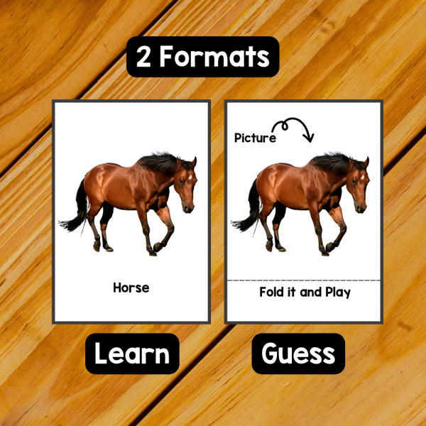FARM ANIMALS • Montessori Cards • Flash Cards Nomenclature Cards PDF ...