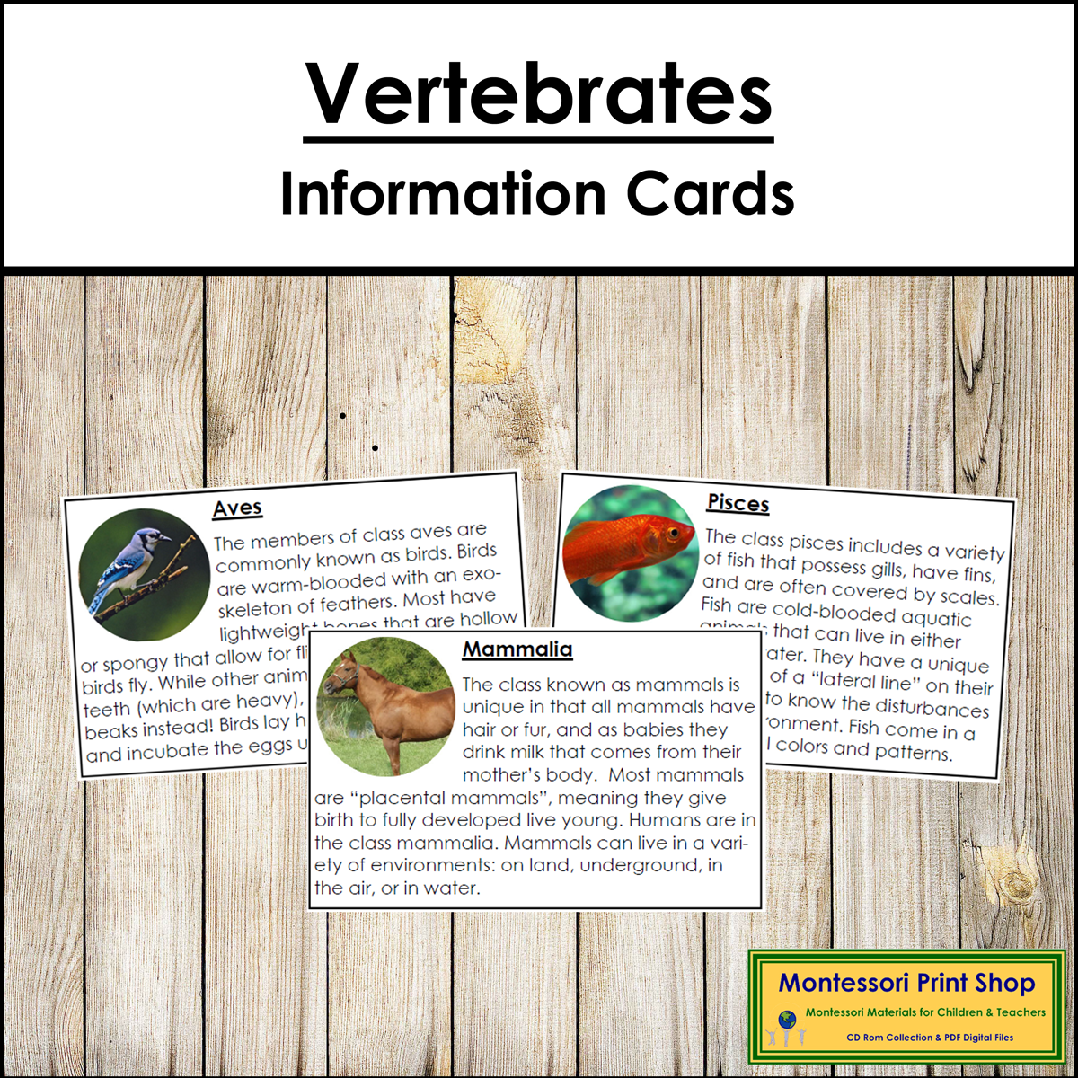 Types of Fish - Montessori 3-Part Cards - Vocabulary, ESL - Made By ...