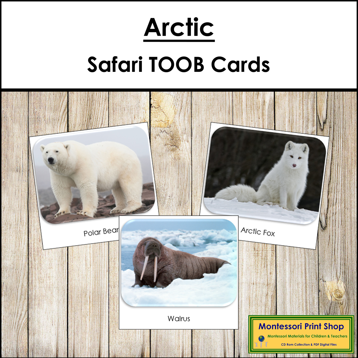 Capital Cities of Australia/Oceania Maps - Blackline Masters | Made By ...