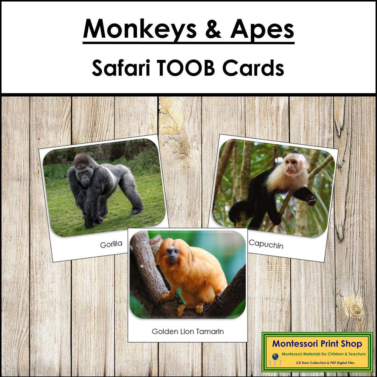 Vowel Sound Cards for Printable Moveable Alphabet PRINT - Red/Blue ...