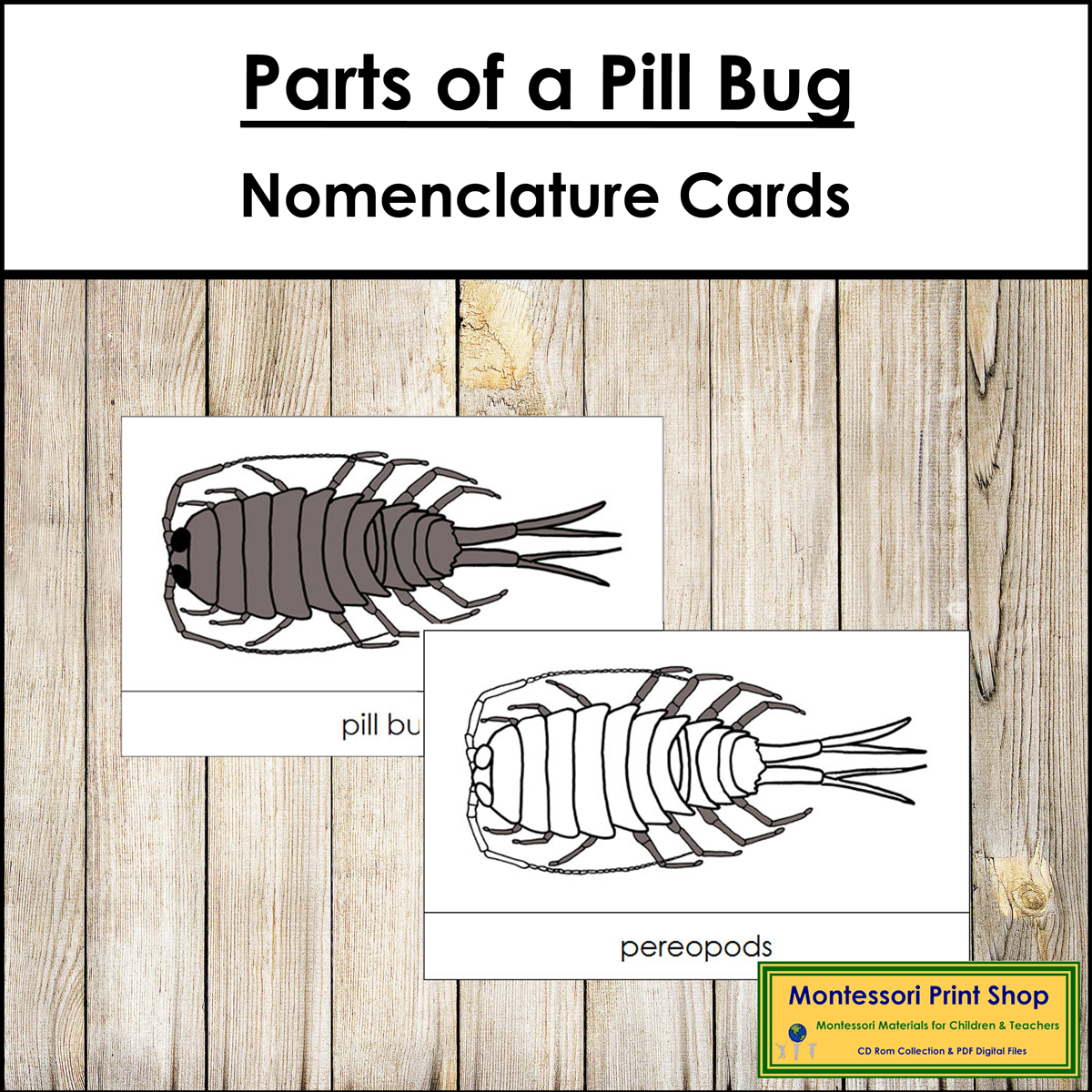 Capital Cities of Asia Maps - Blackline Masters | Made By Teachers