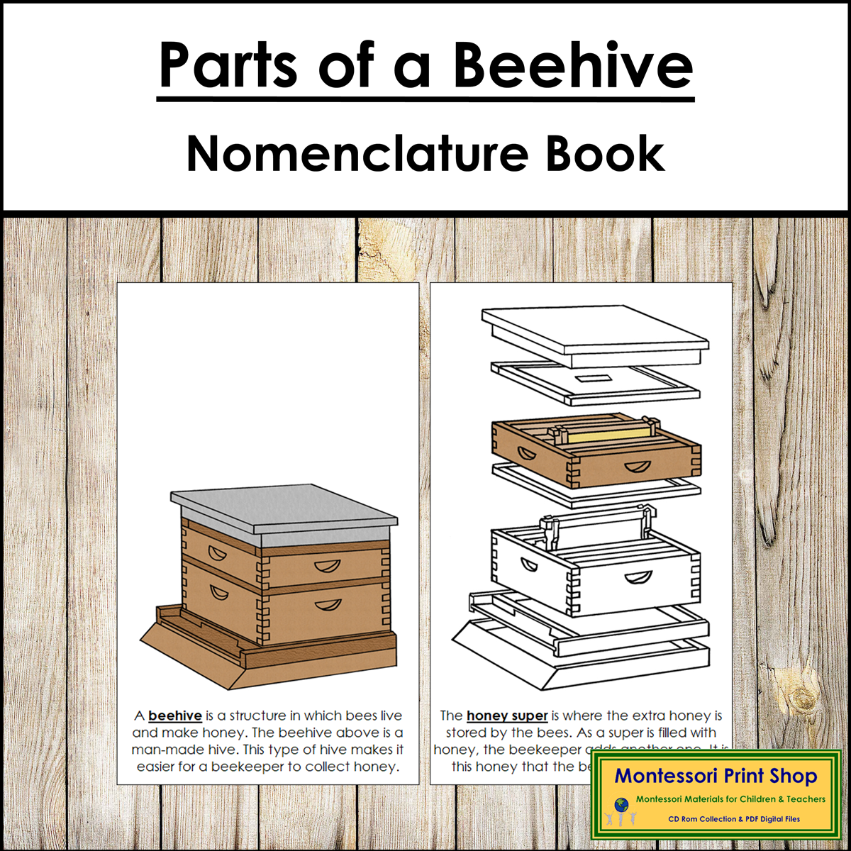 The Study of a Quadrilateral 3-Part Cards - Montessori Elementary ...