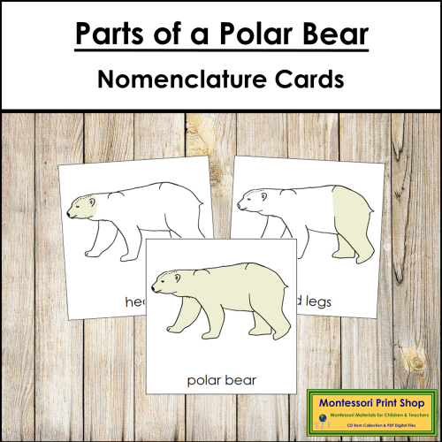 Parts of a Polar Bear 3-Part Cards - Montessori Nomenclature - Made By ...