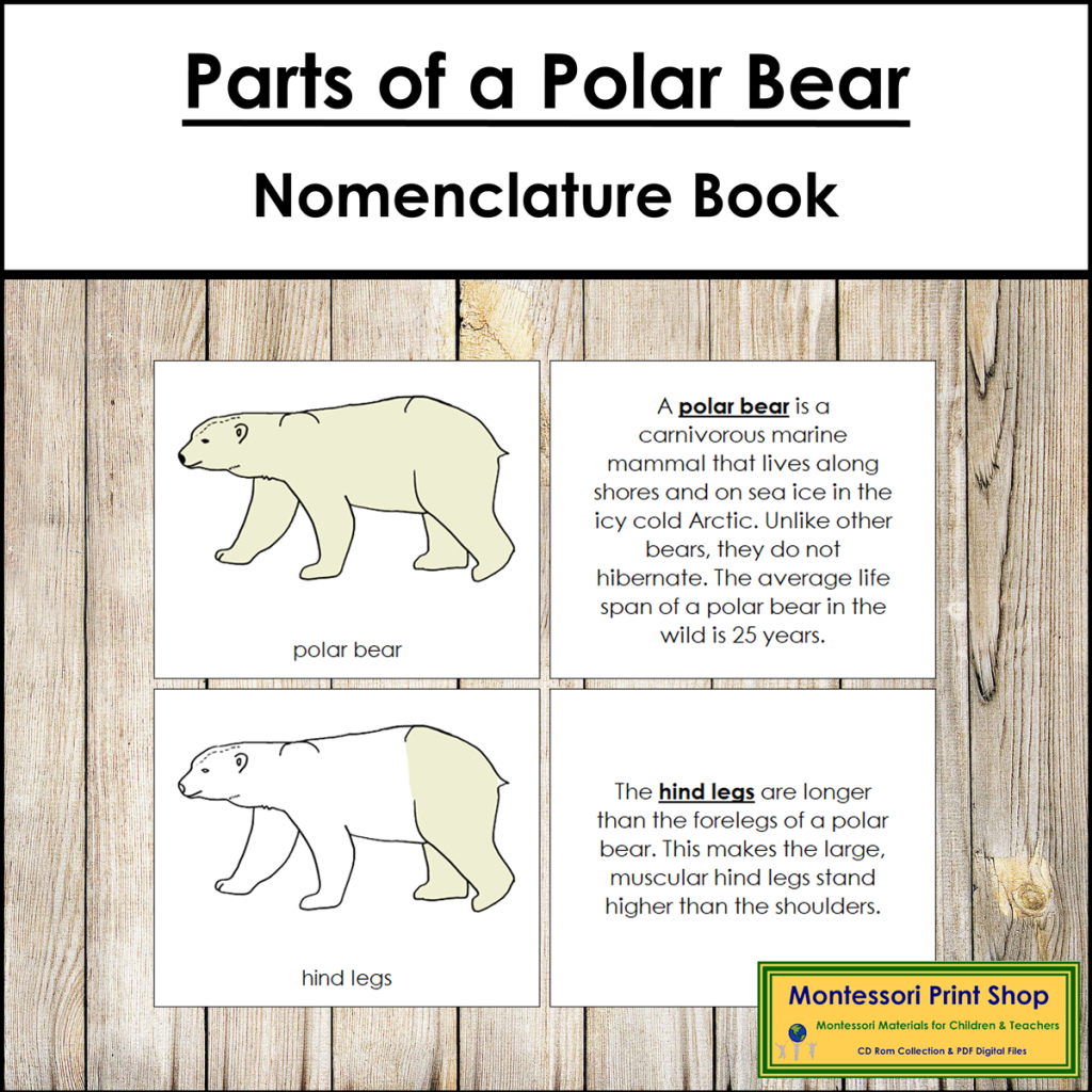 Parts of a Polar Bear Book - Montessori Nomenclature - Made By Teachers