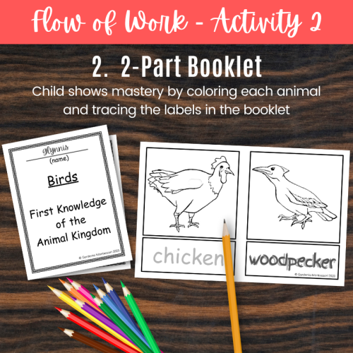 Animal Kingdom Cards Booklets BUNDLE - Montessori Zoology Animal ...