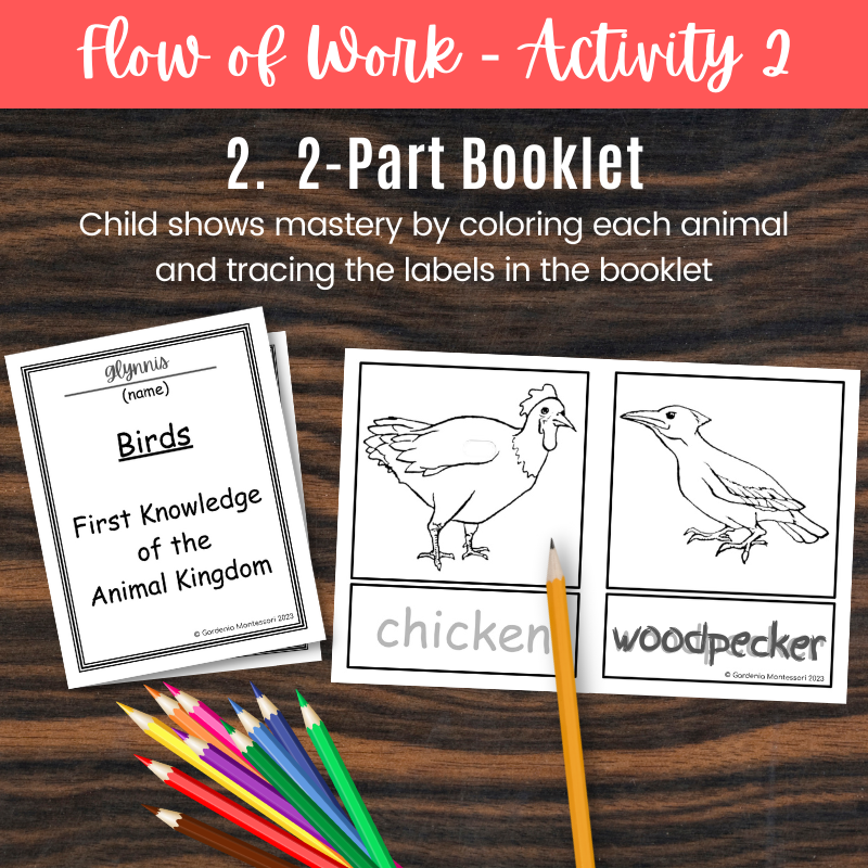 Animal Kingdom Cards Booklets BUNDLE - Montessori Zoology Animal ...