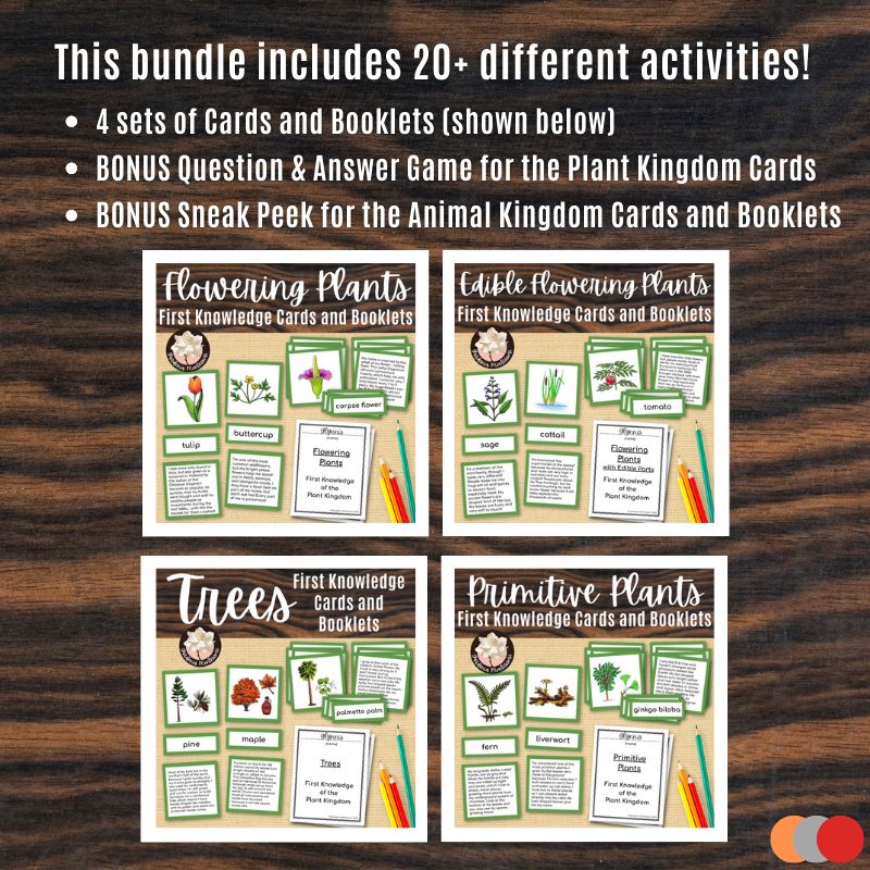 Plant Kingdom Cards Booklets BUNDLE - Montessori Botany Plant ...