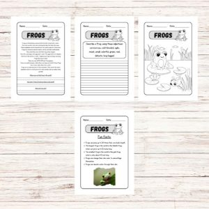Reading Comprehension - Frogs | Made By Teachers