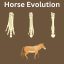 AP Biology Evolution and Common Ancestry Labs and Multiple Choice ...