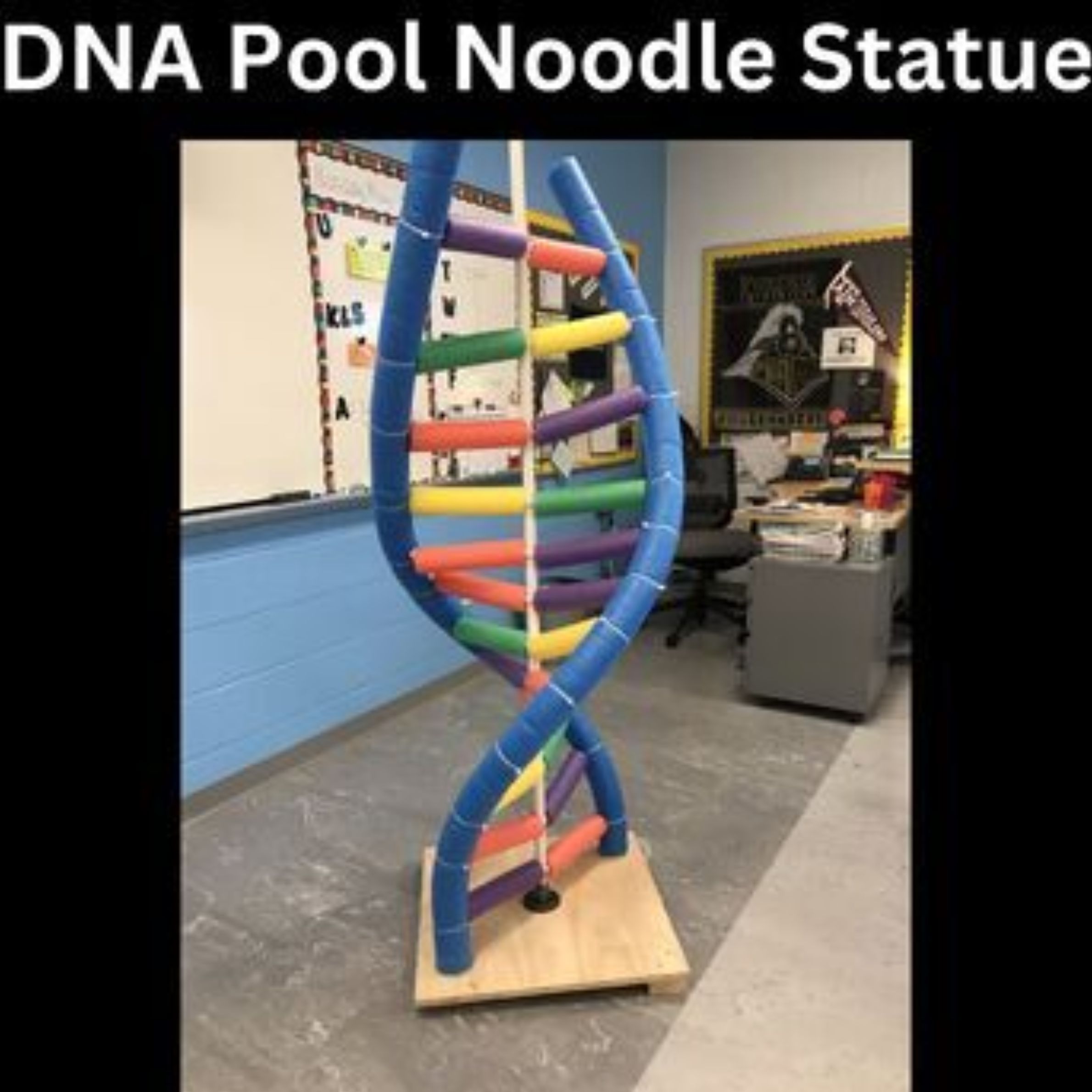 AP Biology DNA, RNA Standardized Test Prep Unit High School Biology ...