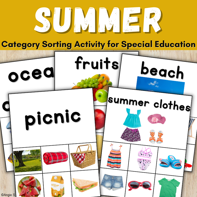 Recycle Sort Activity for Preschool and Special Education | Made By ...