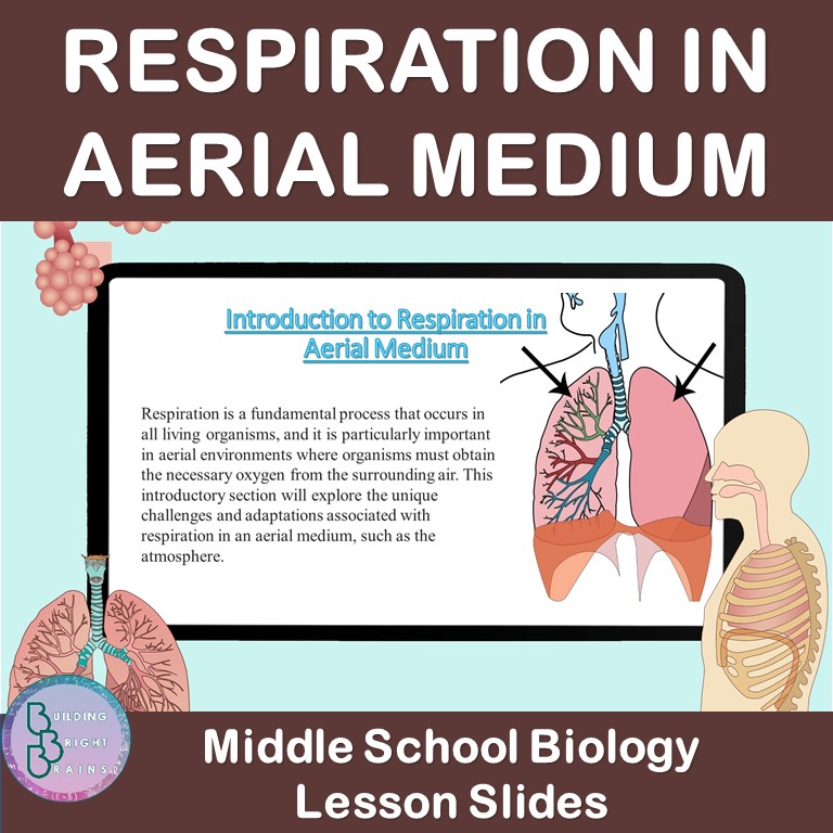 Vaccination and Serotherapy | PowerPoint Lesson Slides Middle School ...
