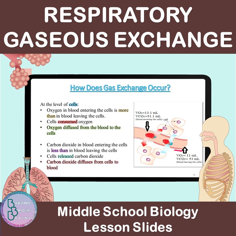Mass Volume and Density PowerPoint Lesson Slides | Middle School ...