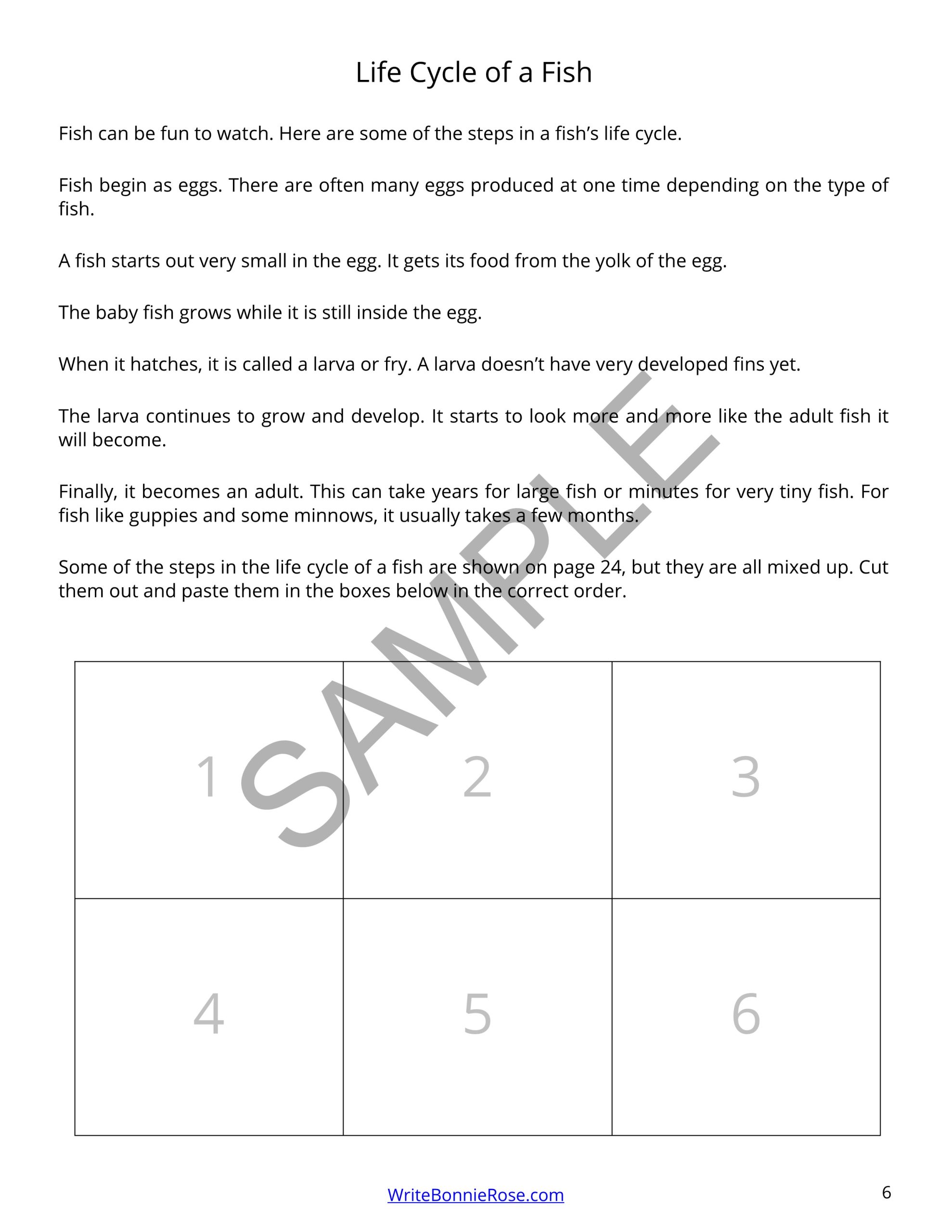 Pet Sequencing Cut & Paste | Made By Teachers