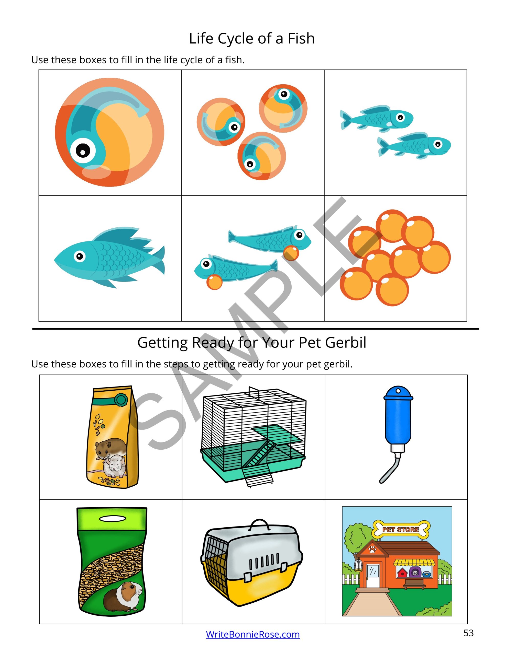 Pet Sequencing Cut & Paste | Made By Teachers