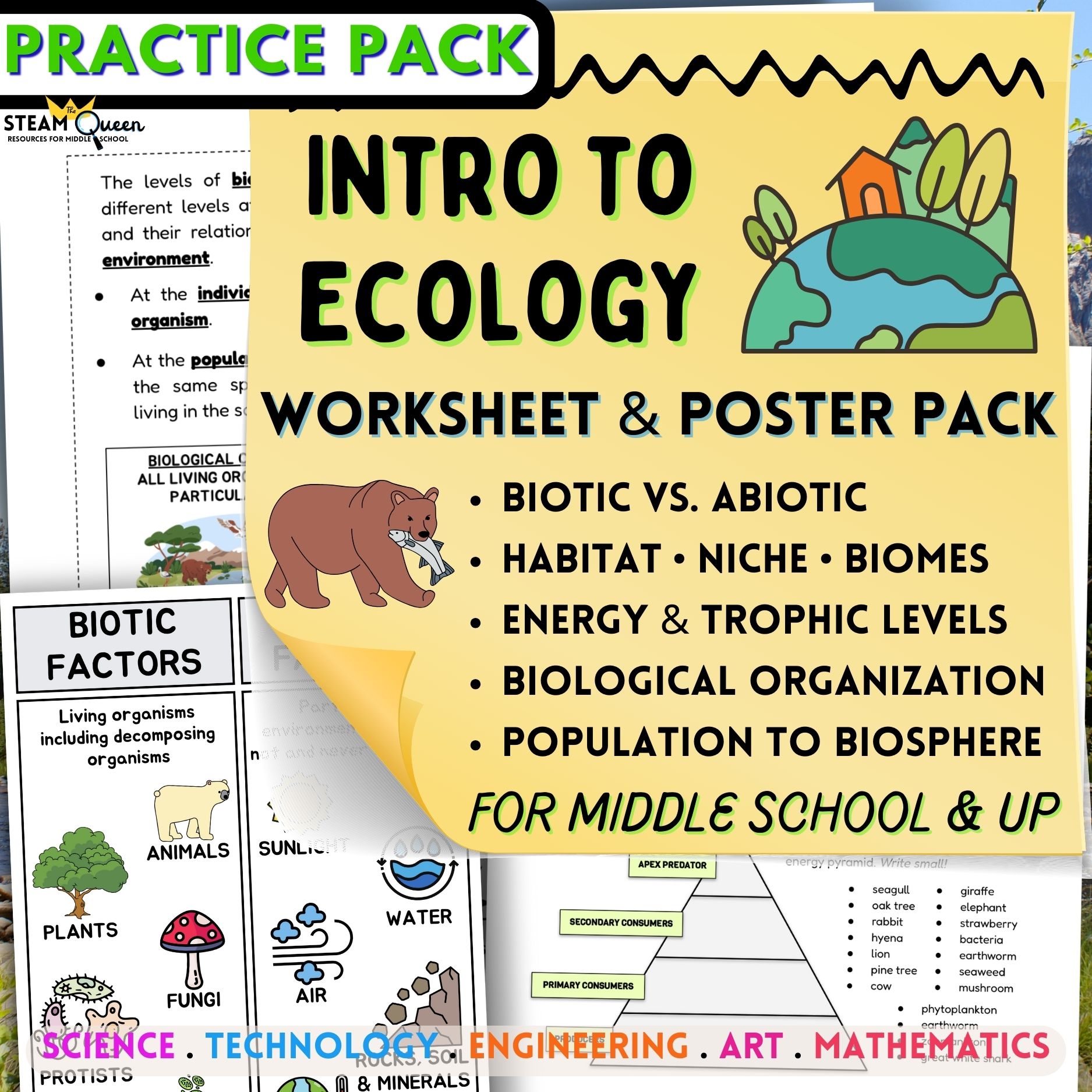 Ecosystems and Biological Organization: 7 Worksheets 7 Visuals for ...