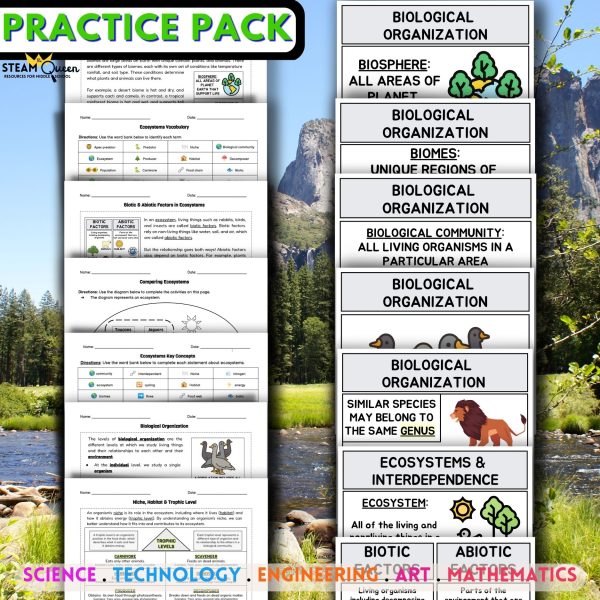 Ecosystems and Biological Organization: 7 Worksheets 7 Visuals for ...