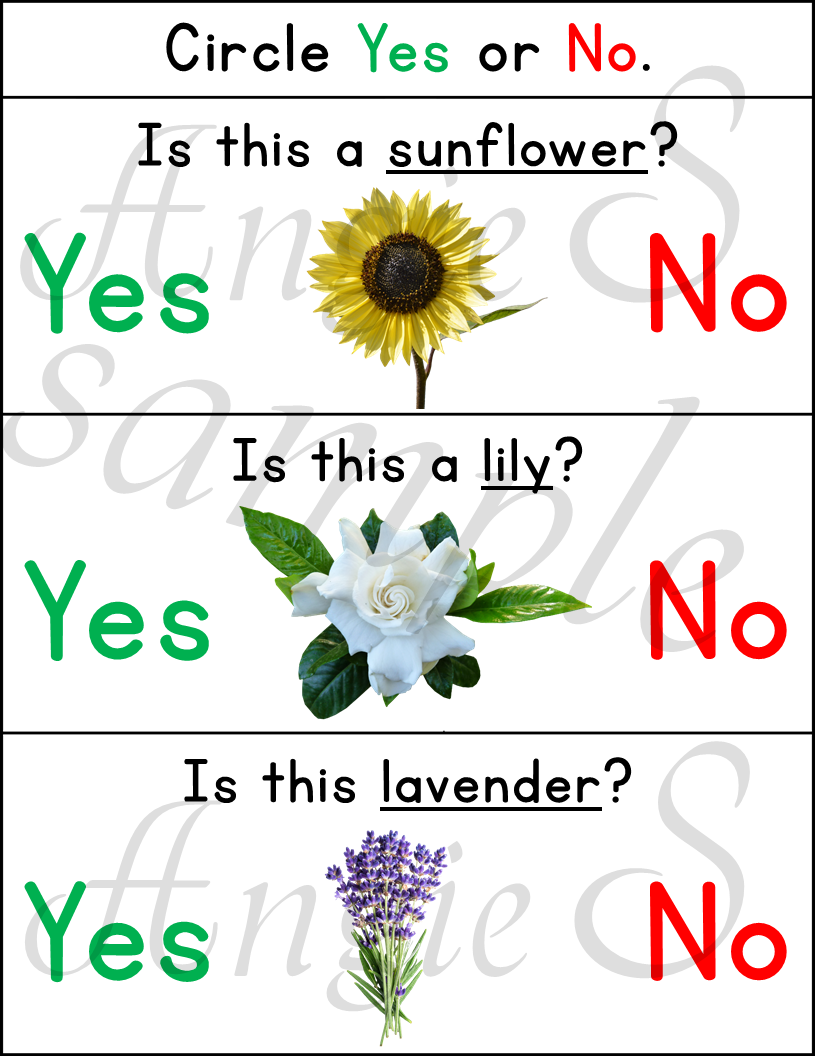 Flower Speech Therapy Worksheets Yes No Questions Special Ed ESL Spring ...