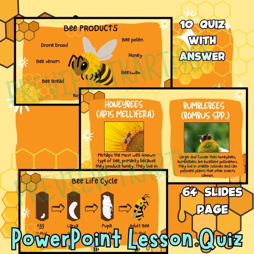 World Bee Day, All about bees, Bee Life Cycle PowerPoint Lesson Quiz ...