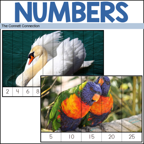 Bird Alphabet and Number Sequencing Puzzles | Made By Teachers
