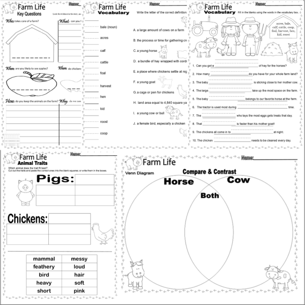 Farm Animals Theme Vocabulary Words Worksheets Definitions & FIB NO ...