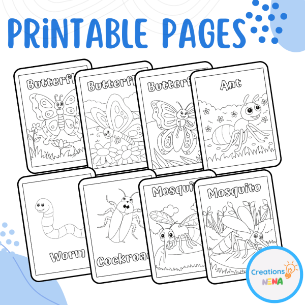 Insects Coloring Sheets - Made By Teachers