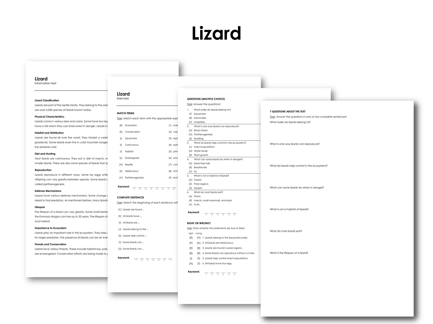 Coniferous forest ecosystem | Made By Teachers