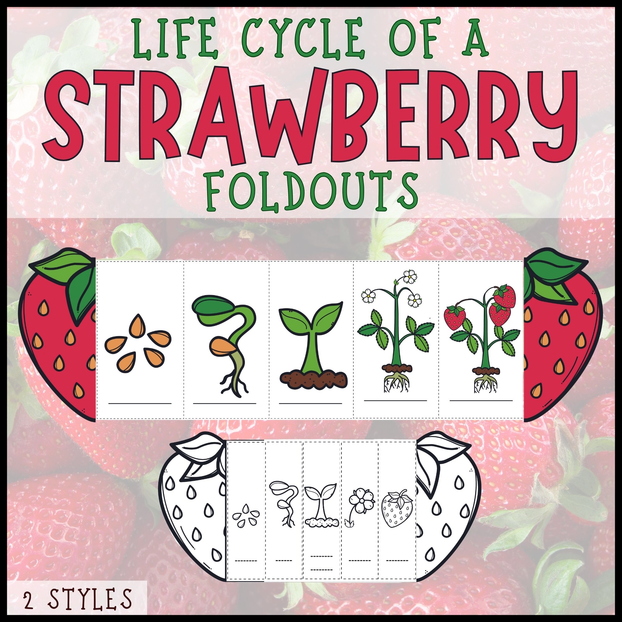 Sweeten Your Space: Creative Strawberry Craft Letters and Editable Wall ...