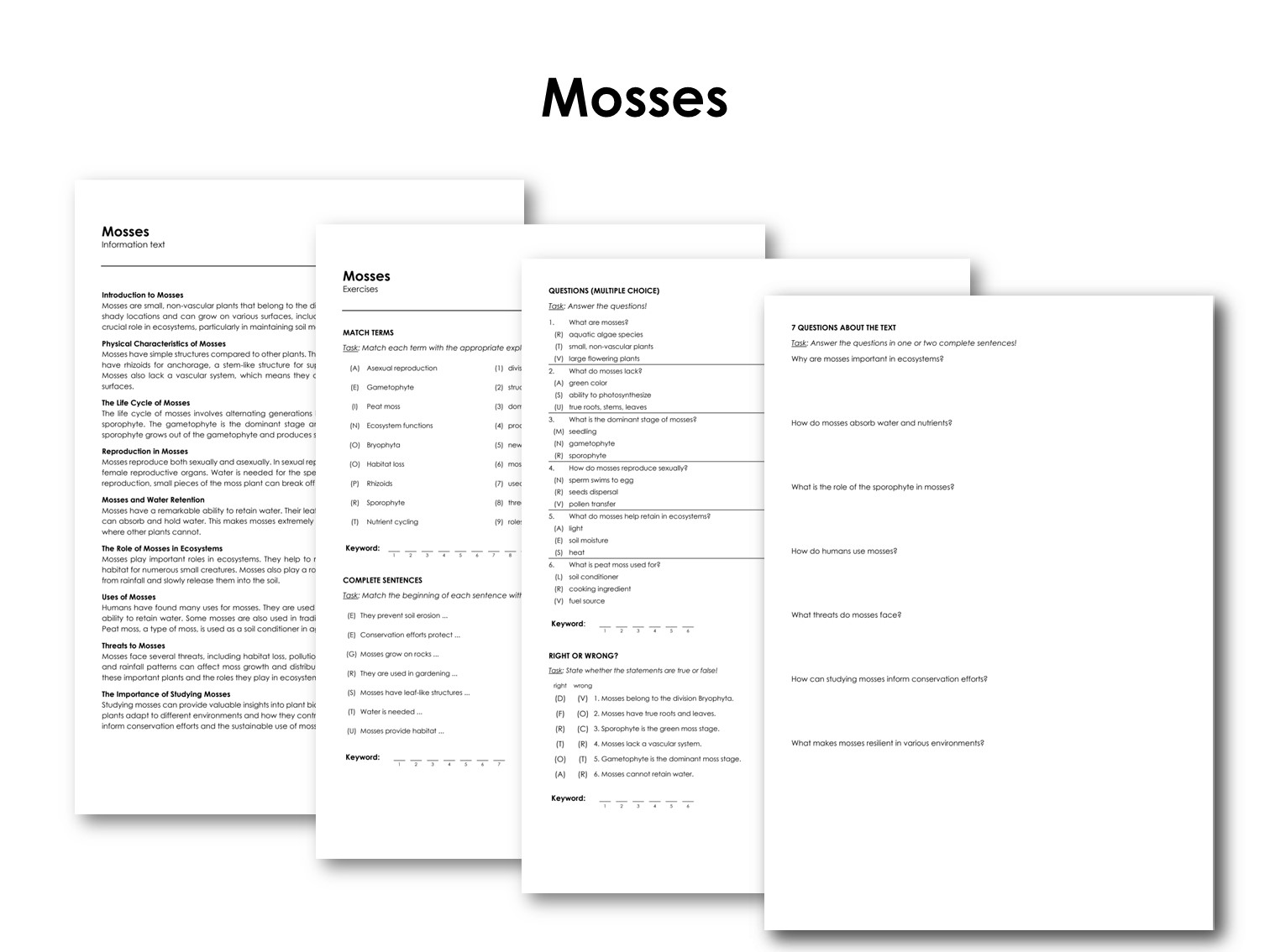 Producers biology | Made By Teachers