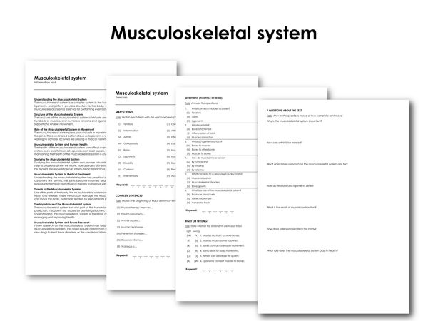 Musculoskeletal system | Made By Teachers