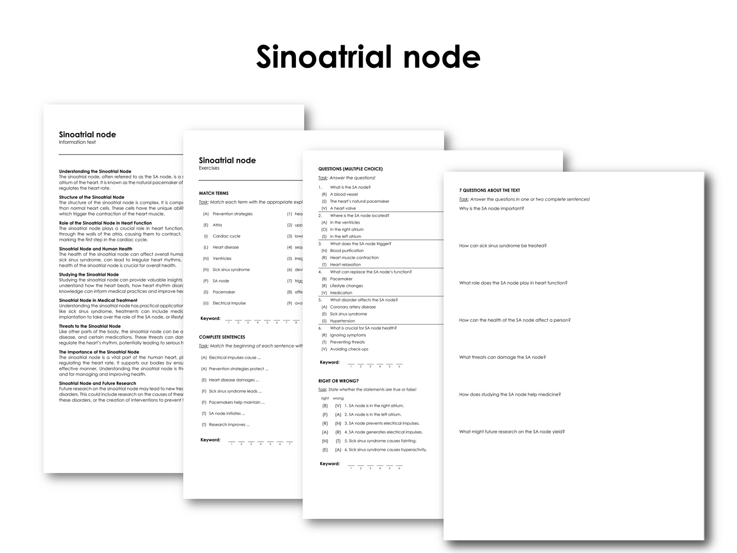 Sinoatrial node | Made By Teachers