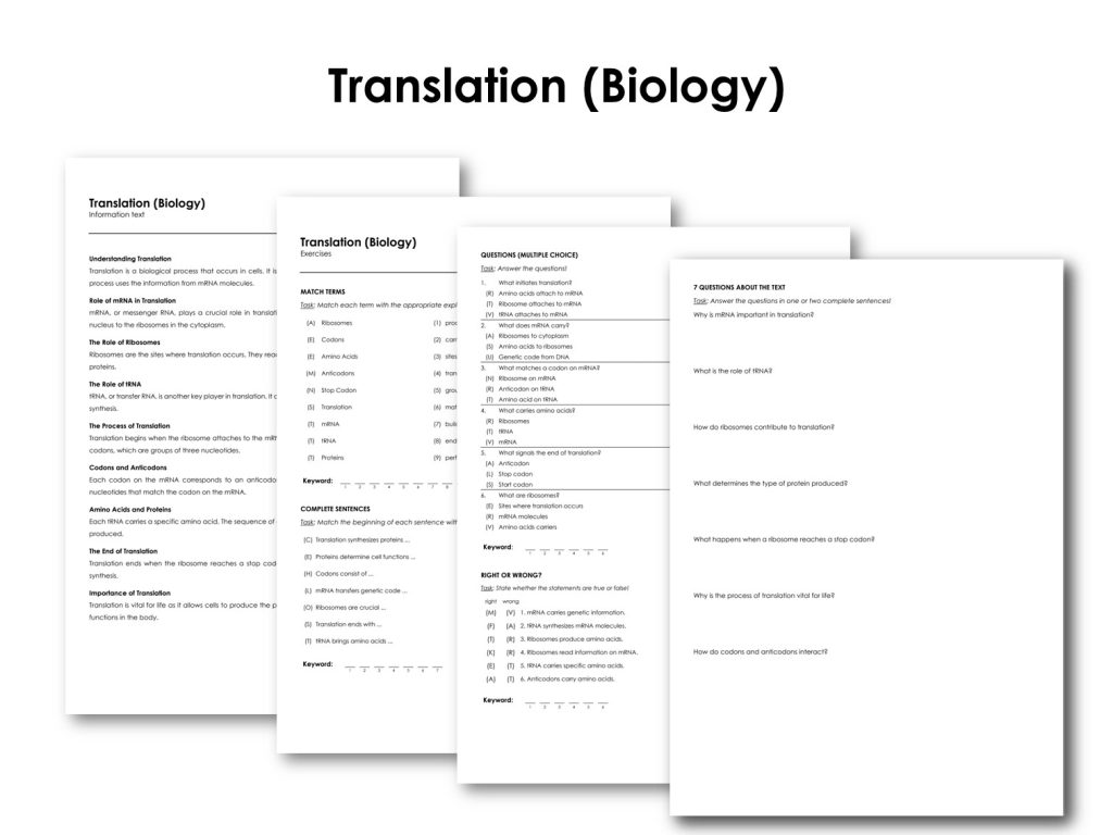 Translation (Biology) | Made By Teachers