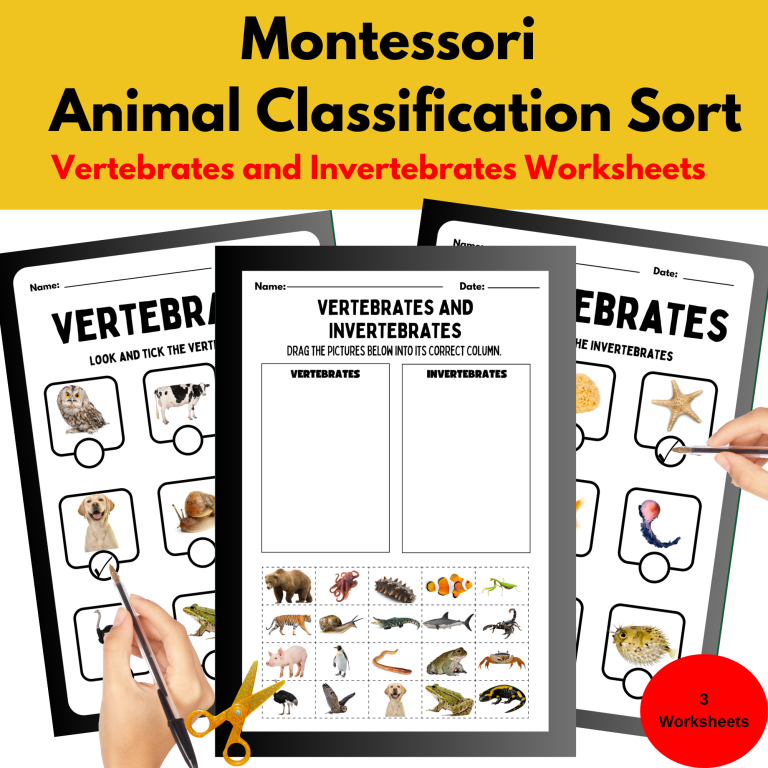 Animal Classification: Vertebrates and Invertebrates Worksheets-Sorting ...
