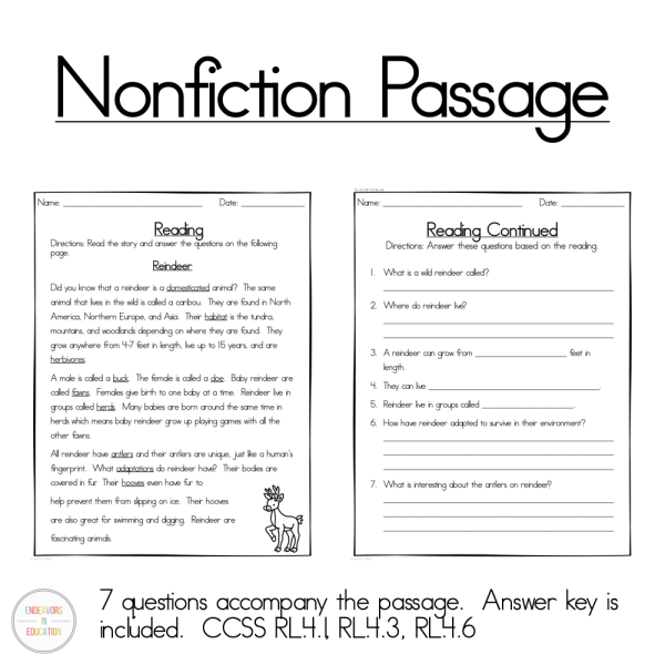 December Reading Comprehension Passages - Made By Teachers