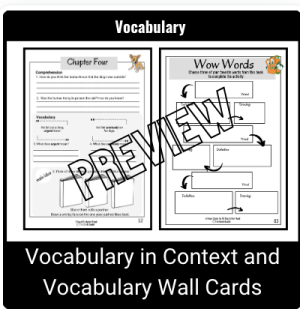 WANDI Novel Study | Made By Teachers